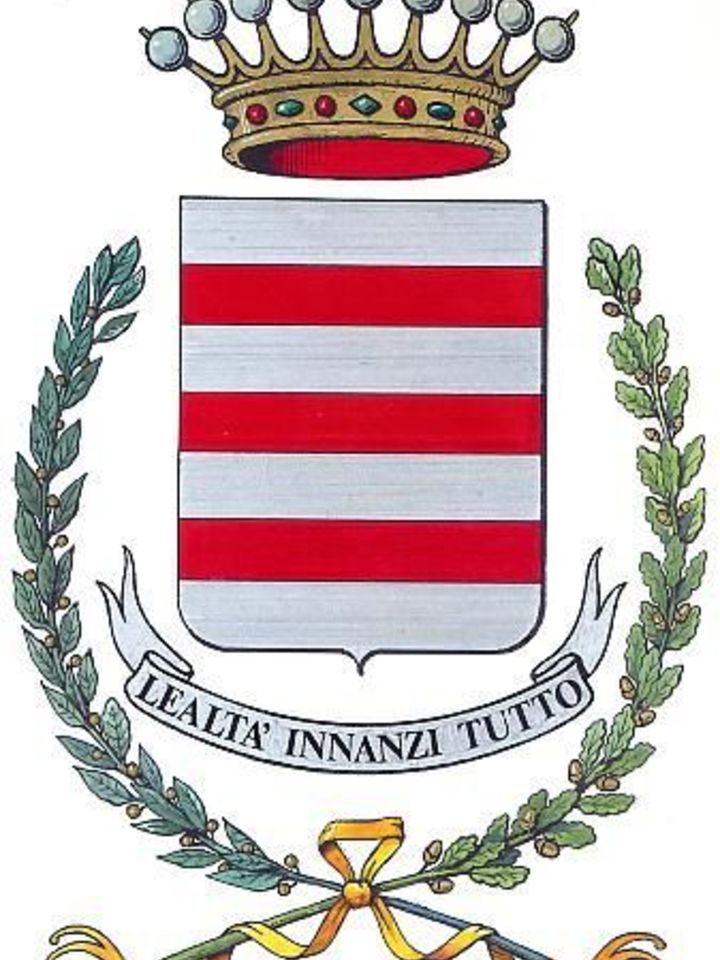 Stemma e gonfalone - Comune di Castelnuovo Don Bosco